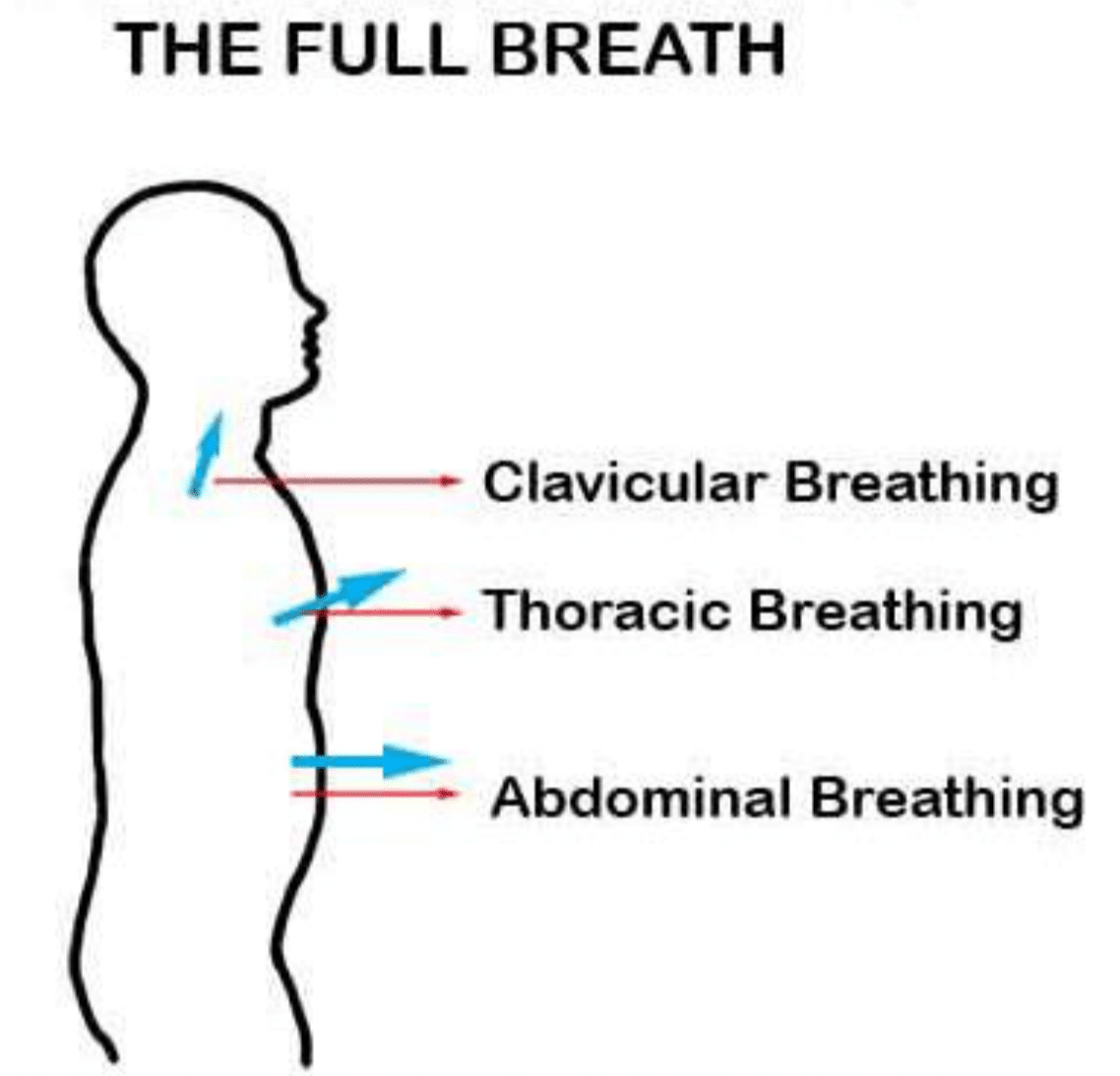 Pranayama – SPV Yoga